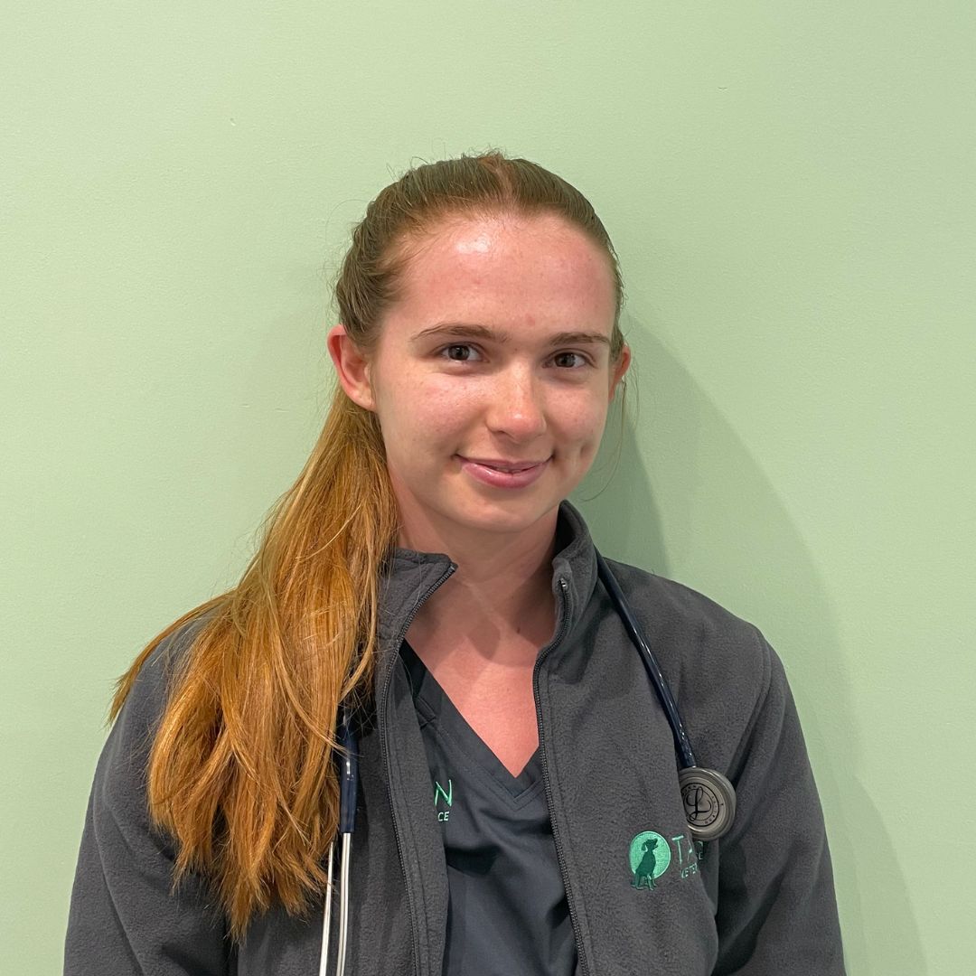 Meet Our Team - Tatton Veterinary Practice