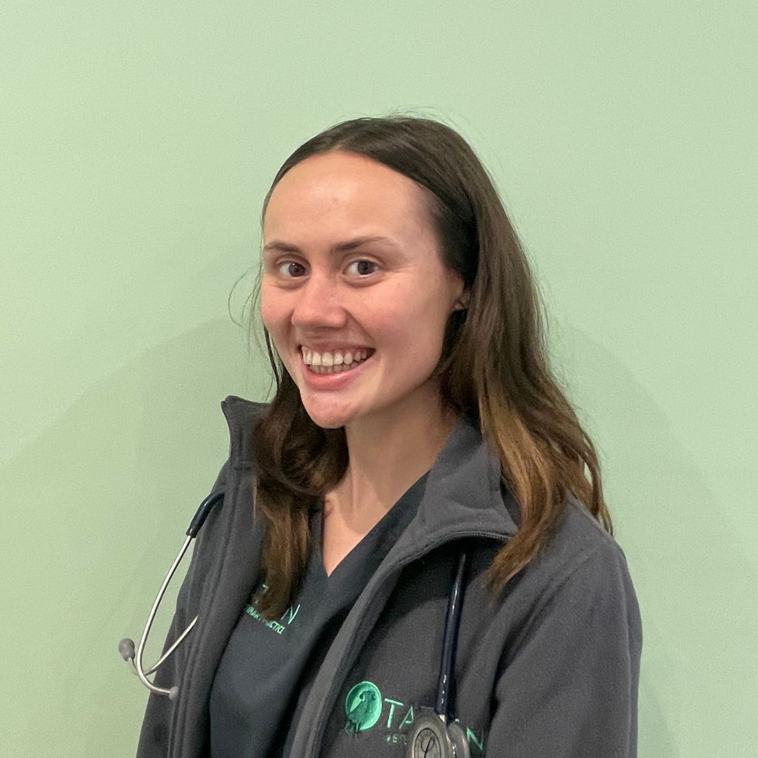 Meet Our Team - Tatton Veterinary Practice