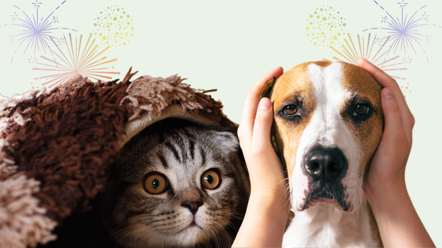 Vets in Knutsford | Tatton Veterinary Practice, Knutsford Cheshire