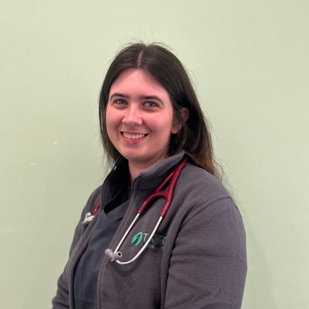 Meet Our Team - Tatton Veterinary Practice