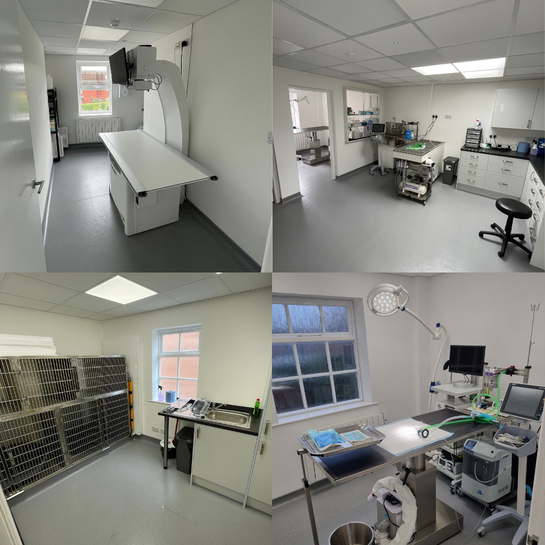 Our Veterinary Practice | Tatton Veterinary Practice, Knutsford